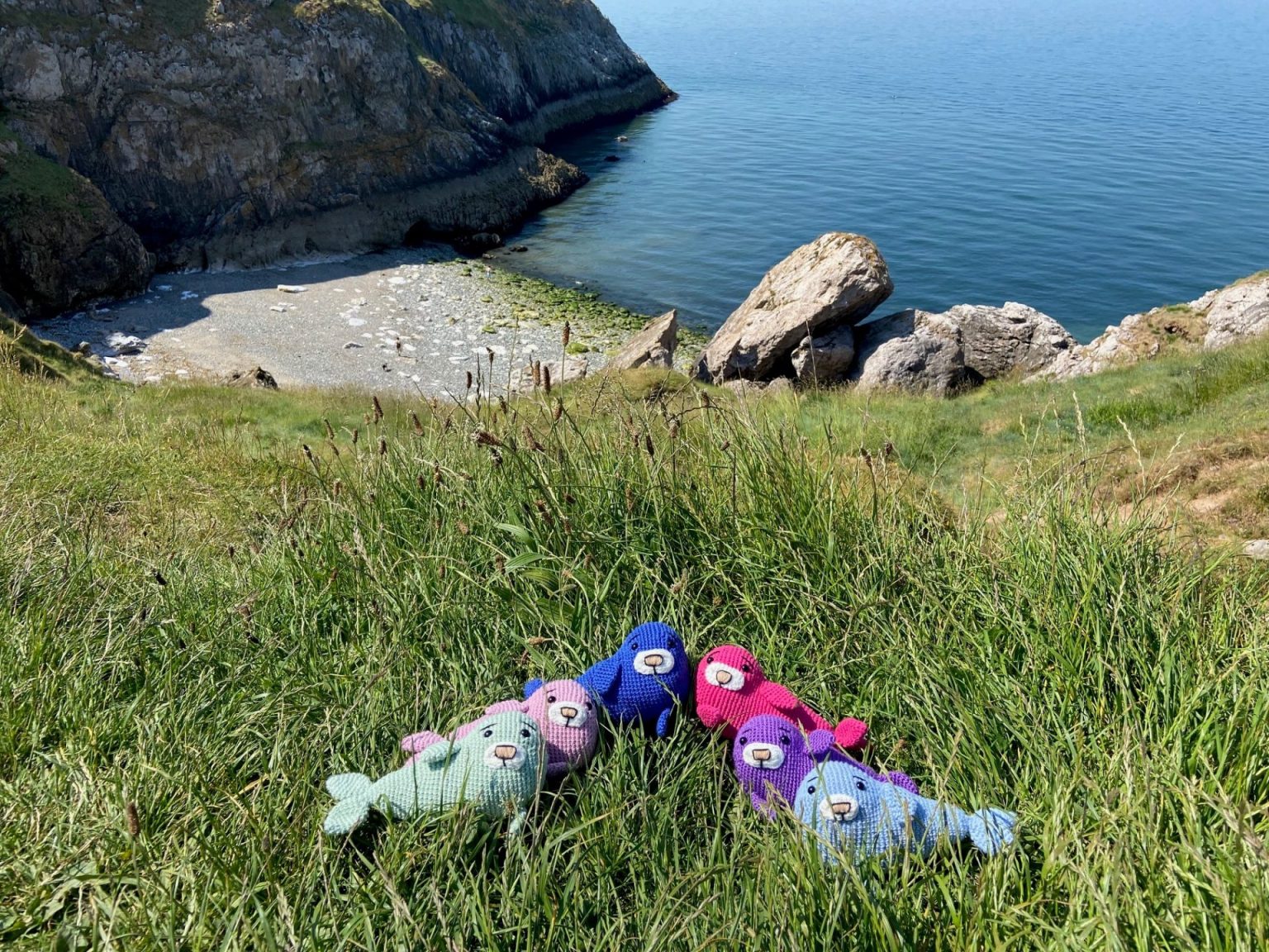Meet our mascot - Conwy Mind